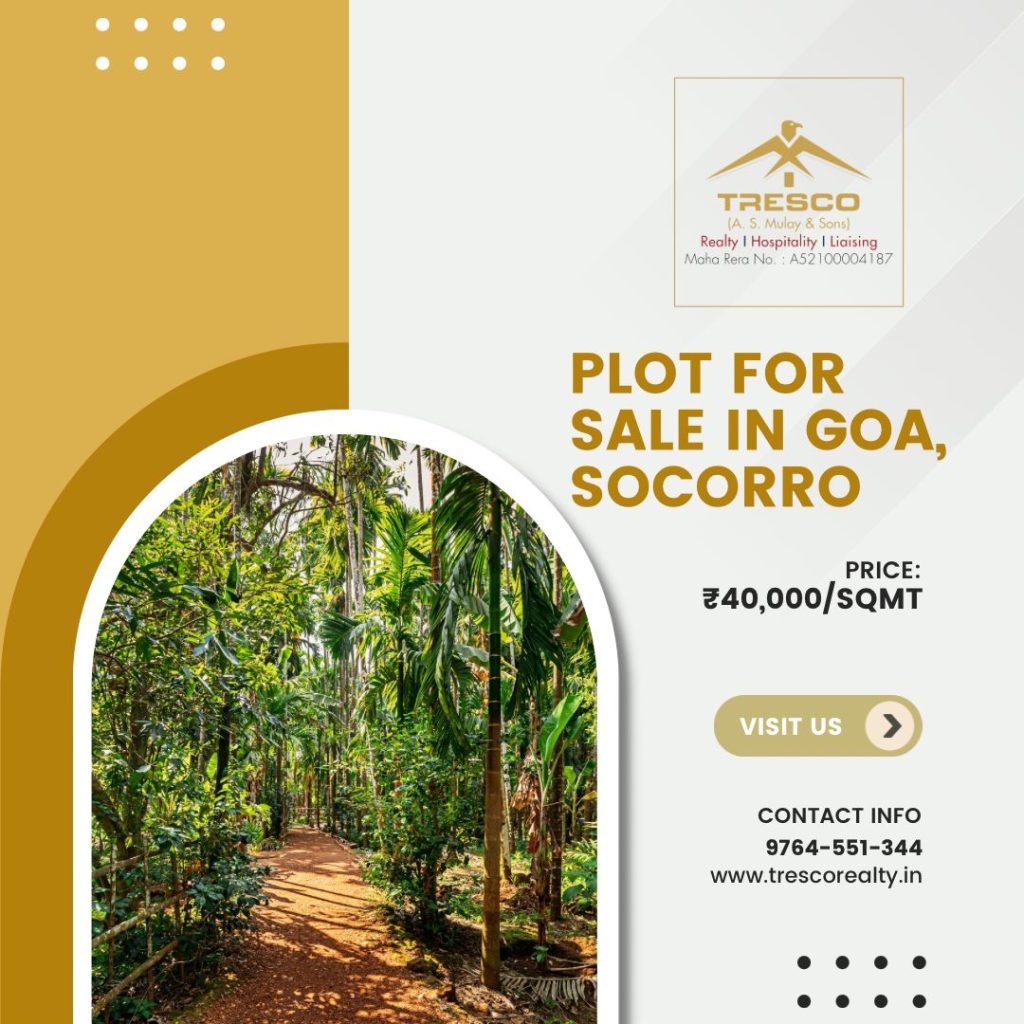Magnificent Plot for Sale in Socorro, Goa! – Trescorealty